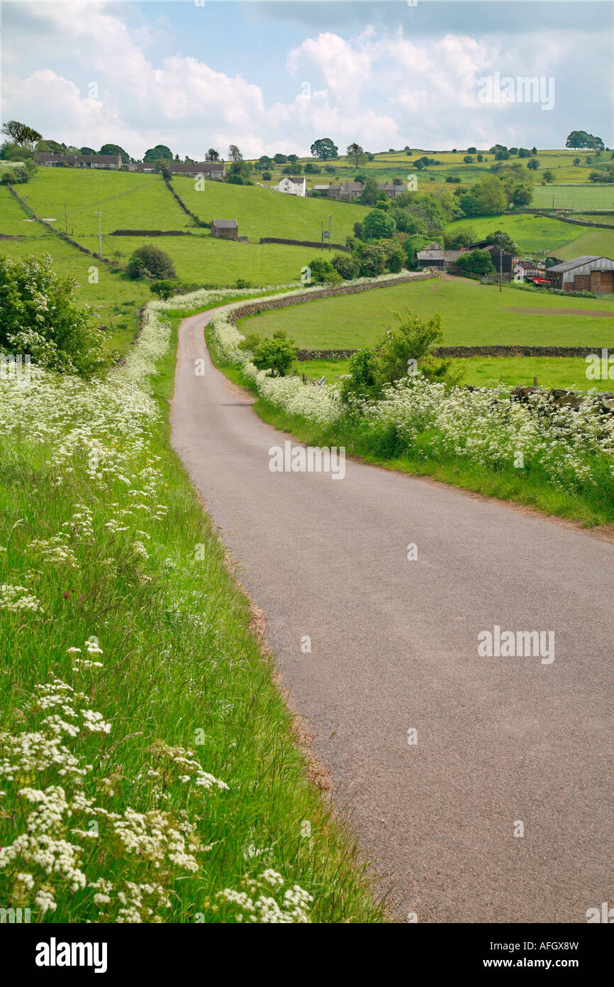 Country lane in Spring Derbyshire england Stock Photo - Alamy