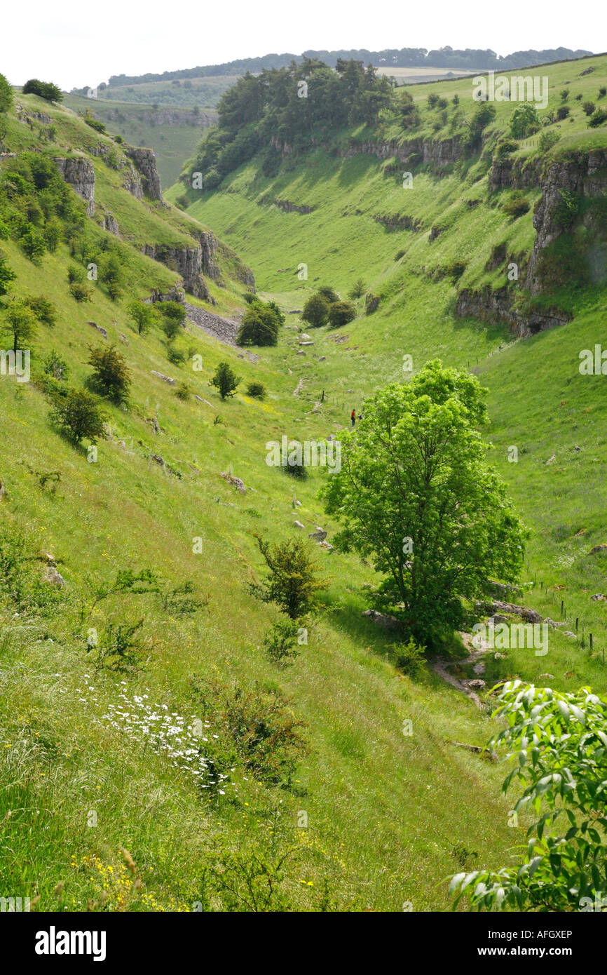 Upper Lathkill Dale from Ricklow Dale quarry Stock Photo - Alamy