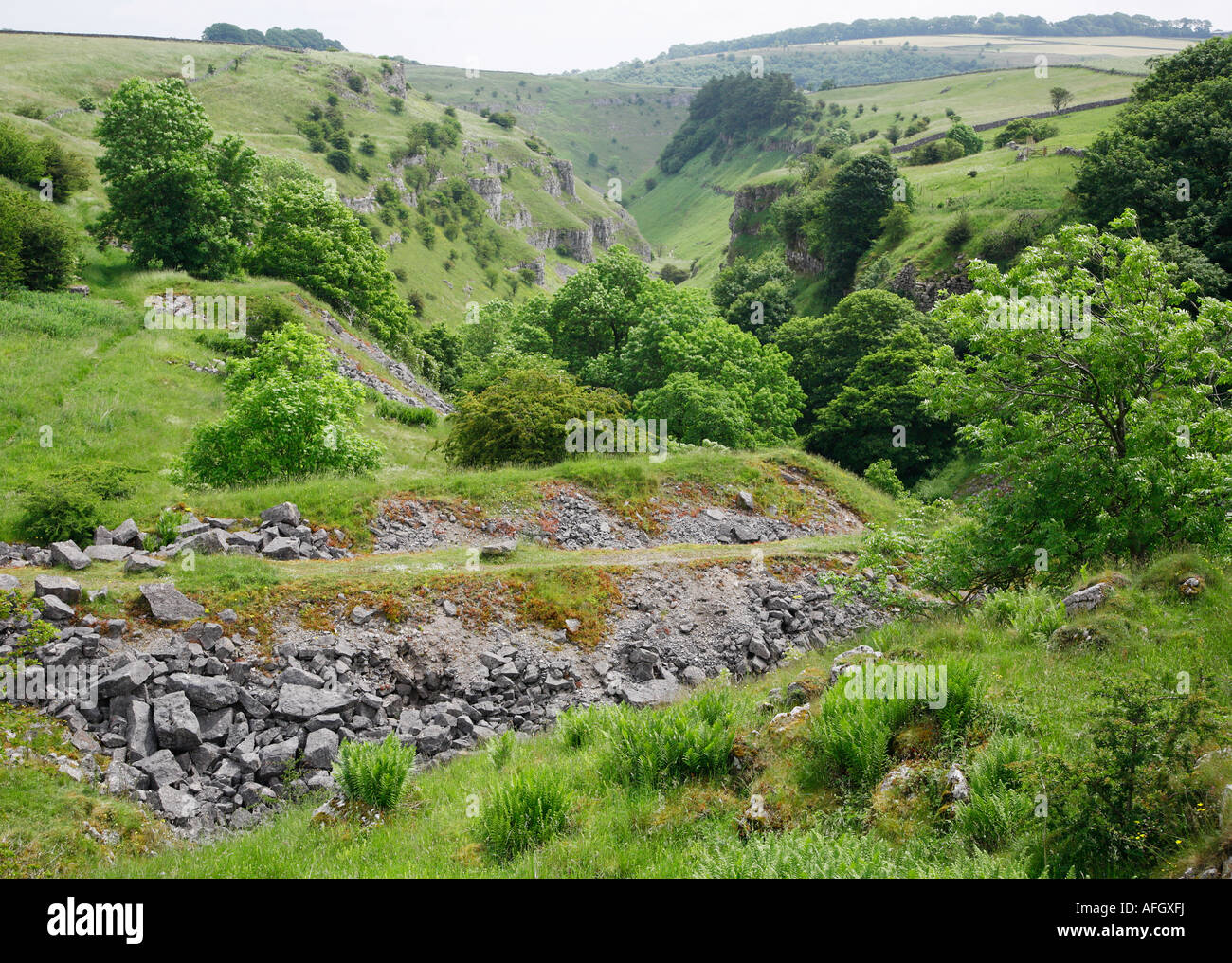 Ricklow quarry above Lathkill Dale in the Derbyshire Peak District ...