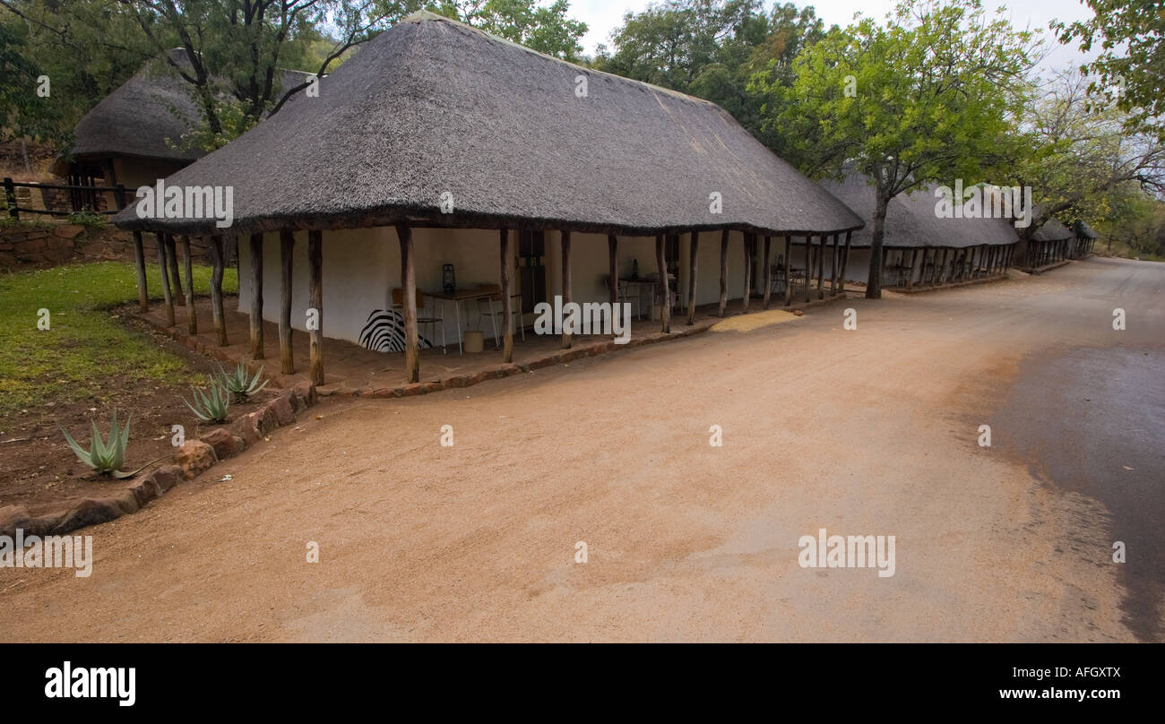 Punda maria hi-res stock photography and images - Alamy