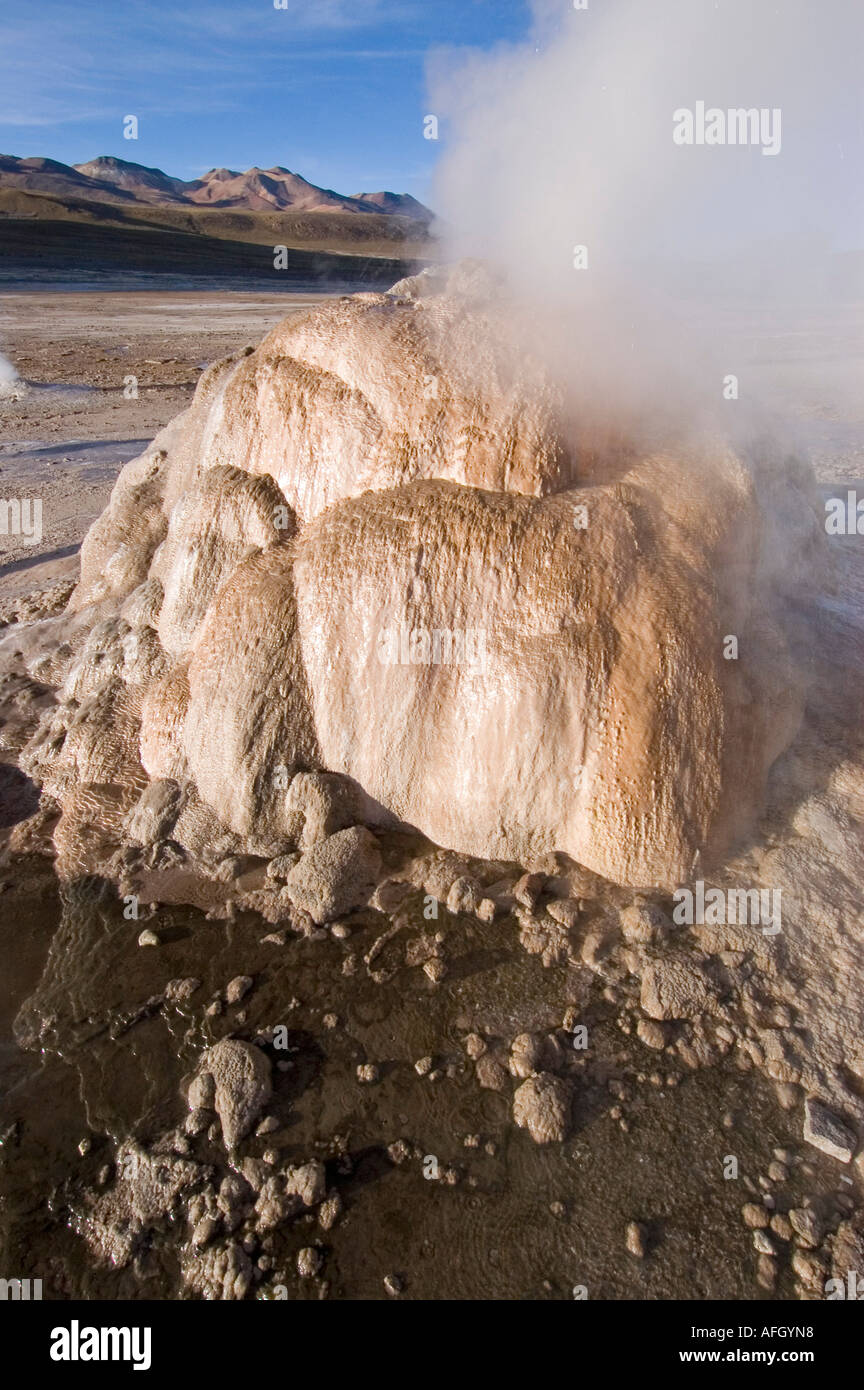 Geyser at the geyserfiel of El Tatio, Chile Stock Photo - Alamy