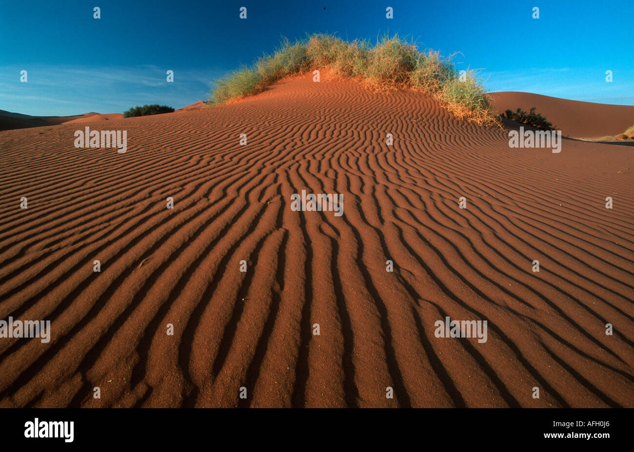 Sand Structures and Dune, Namib Naukluft Park, Namib desert, Namibia ...
