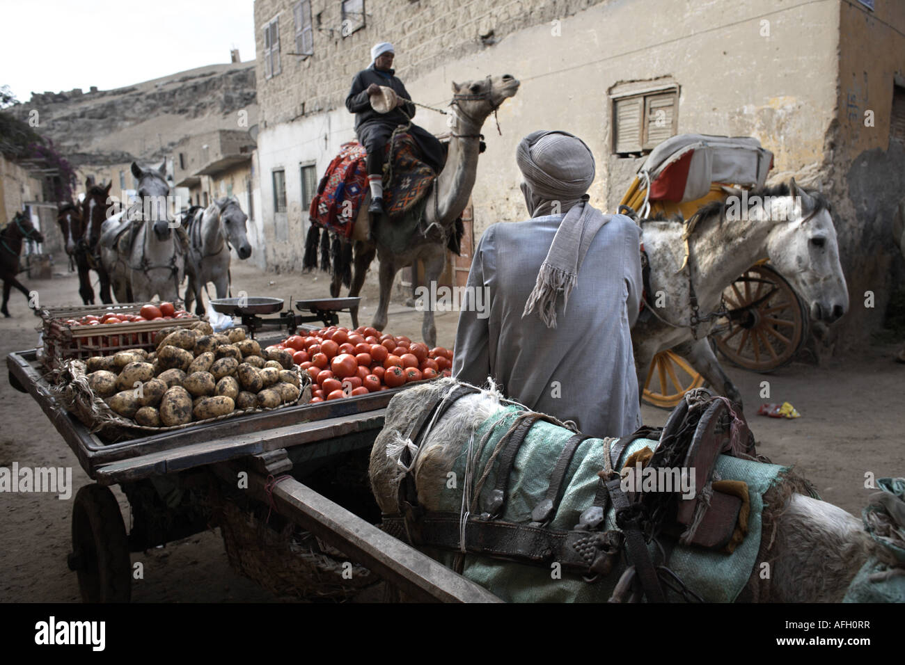 The backstreets of Giza, Cairo, Egypt Stock Photo - Alamy