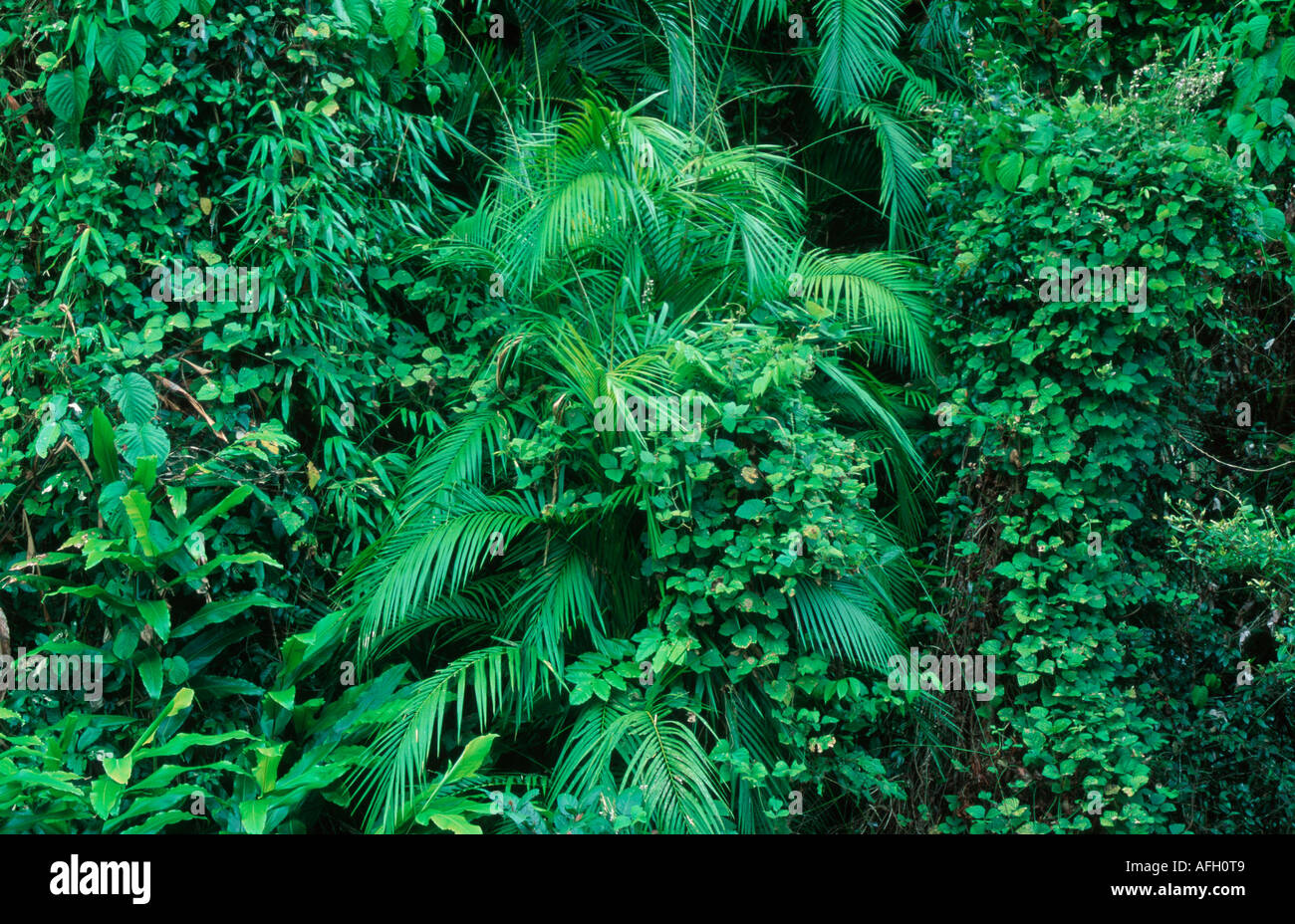 Palmerston rocks national park hi-res stock photography and images - Alamy