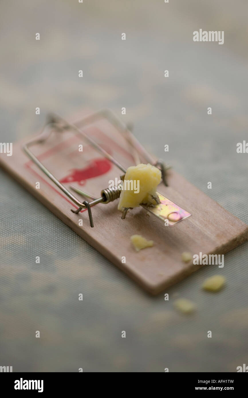 wooden mouse trap with cheese Stock Photo - Alamy