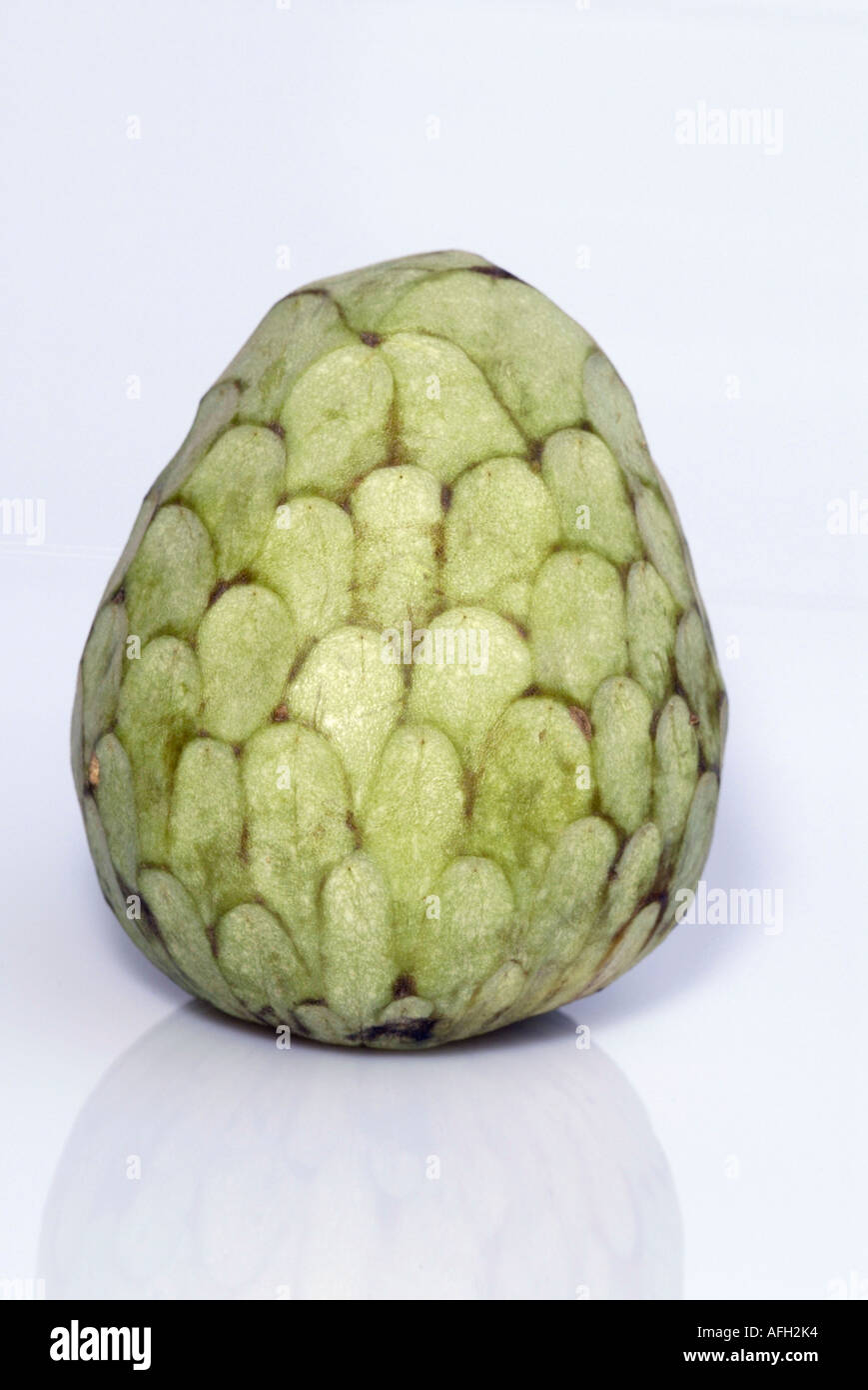 The cherimoya annona cherimola hi-res stock photography and images - Alamy