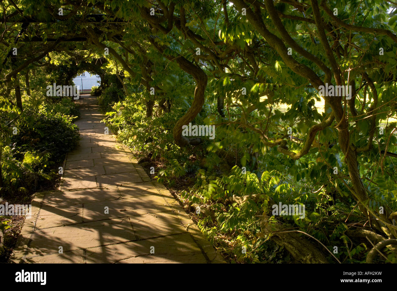 Pinces garden Exeter Devon UK Stock Photo - Alamy