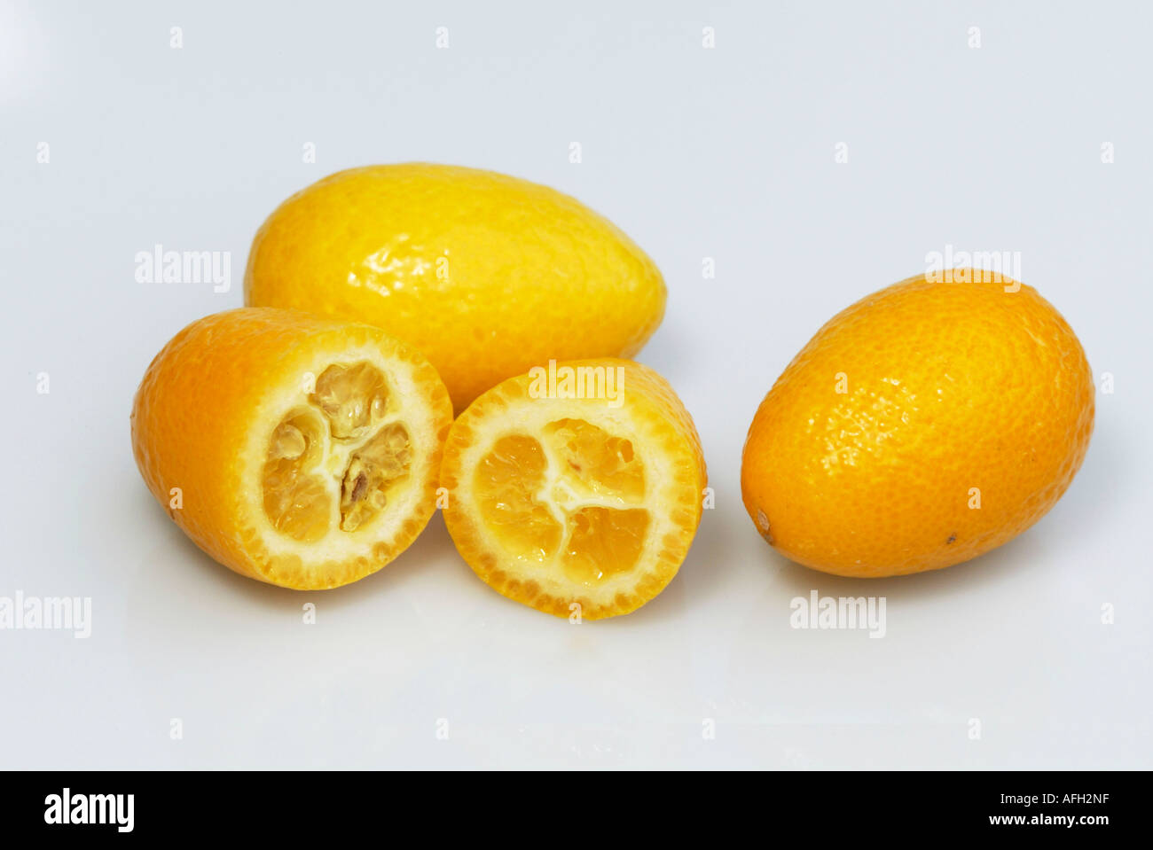 Polyandra hi-res stock photography and images - Alamy