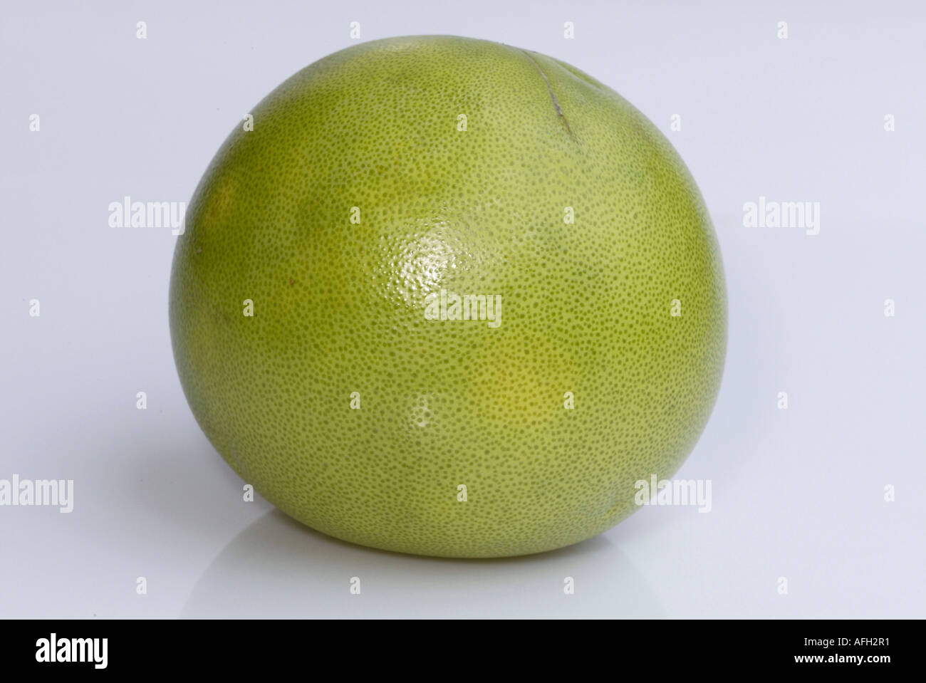 Grapefruit / (Citrus maxima Stock Photo - Alamy