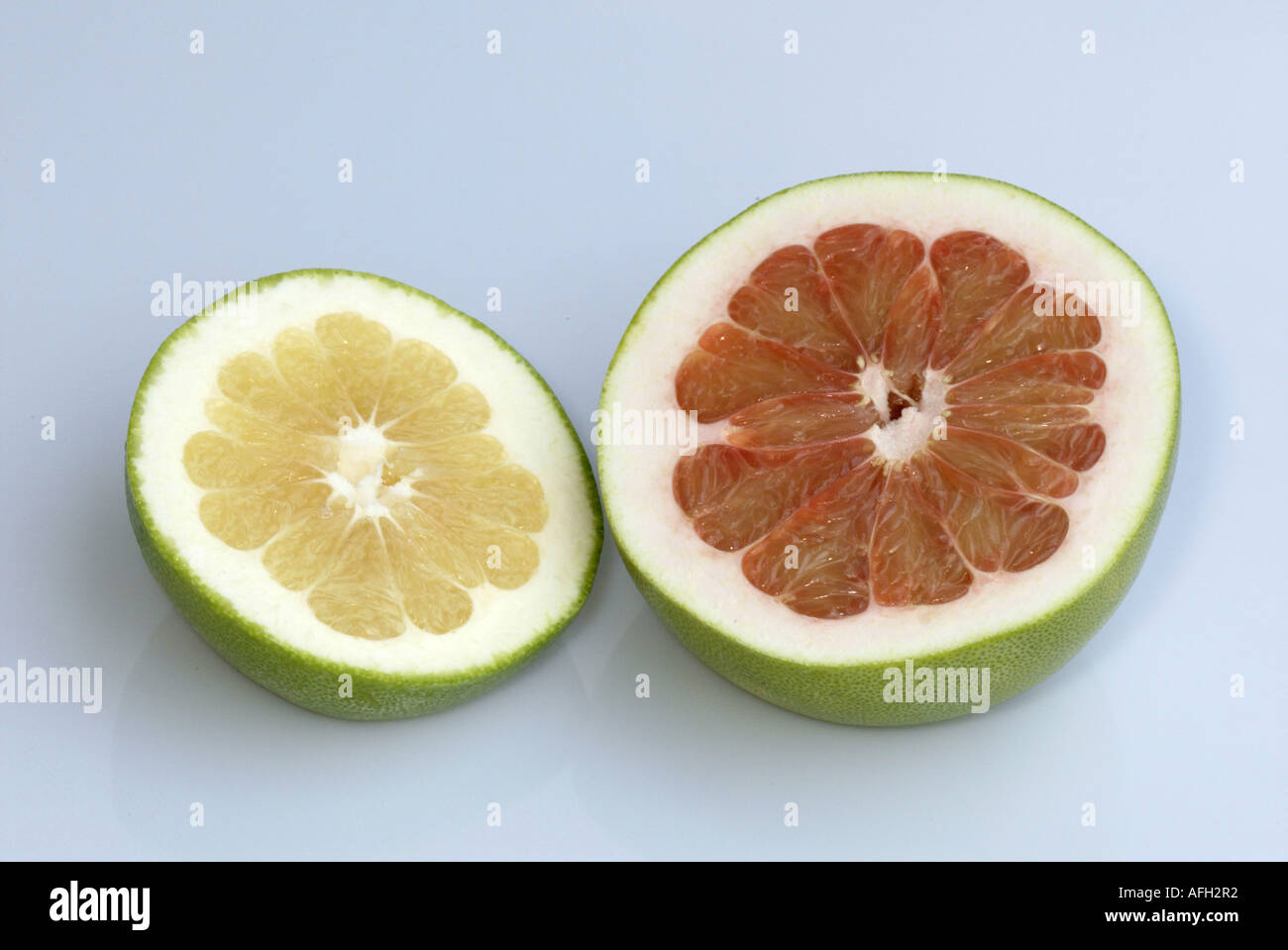 Grapefruit / (Citrus maxima Stock Photo - Alamy