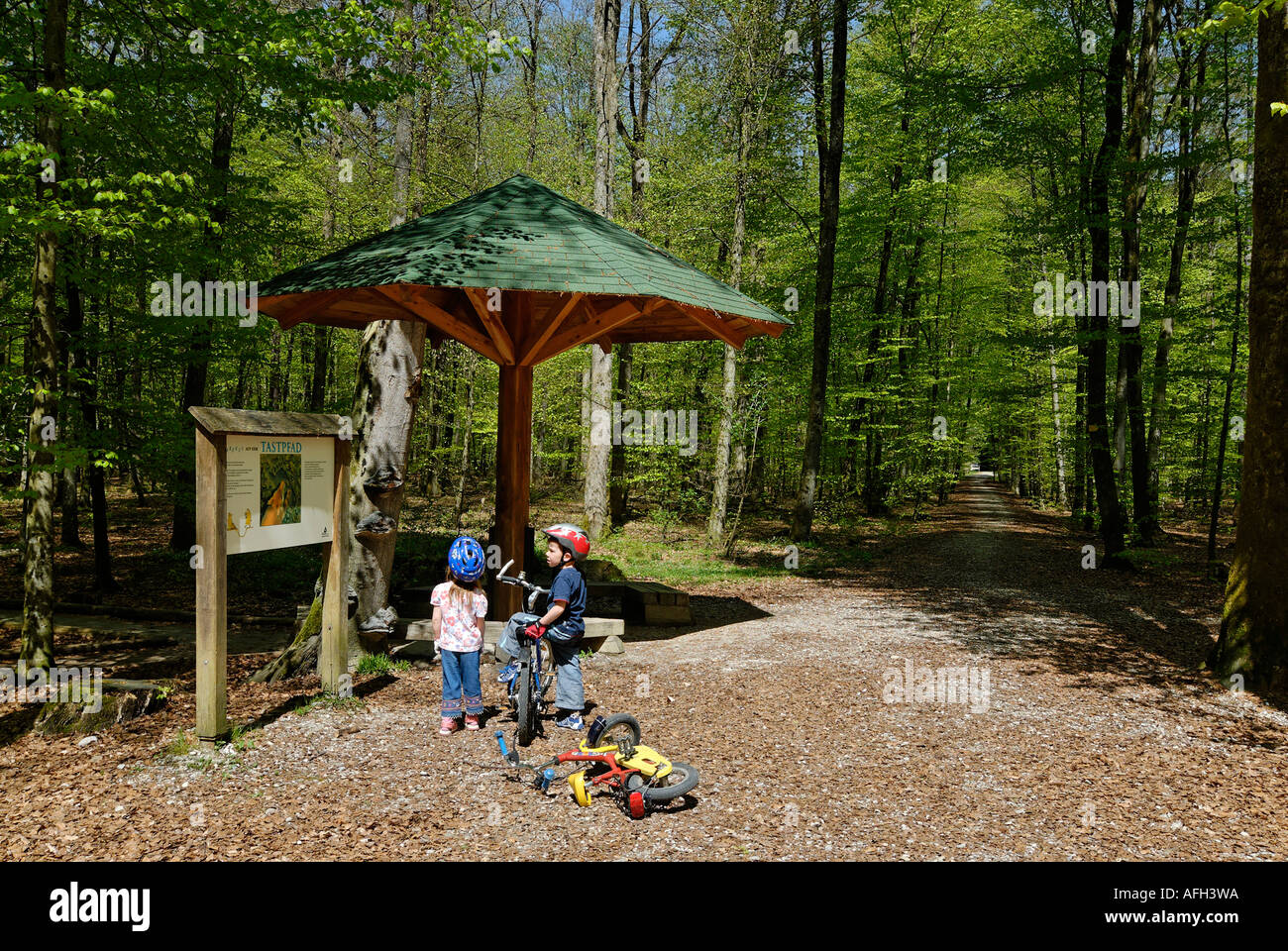 Gruenwald Gruenwald near Munich Bavaria Germany Sauschuett Sauschuett ...