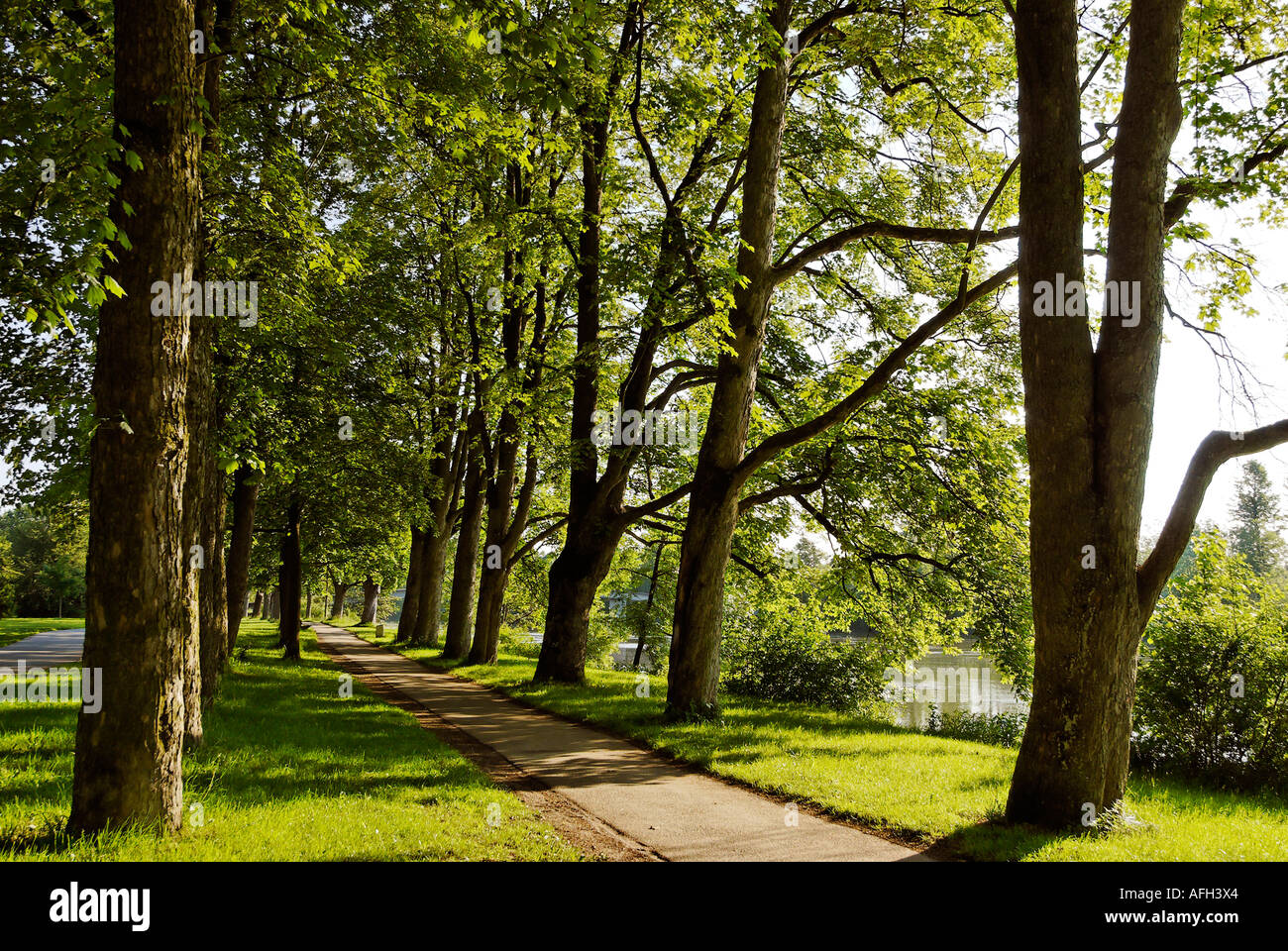 Ulm Baden-Wuerttemberg Germany cathedral park pleasure ground ...