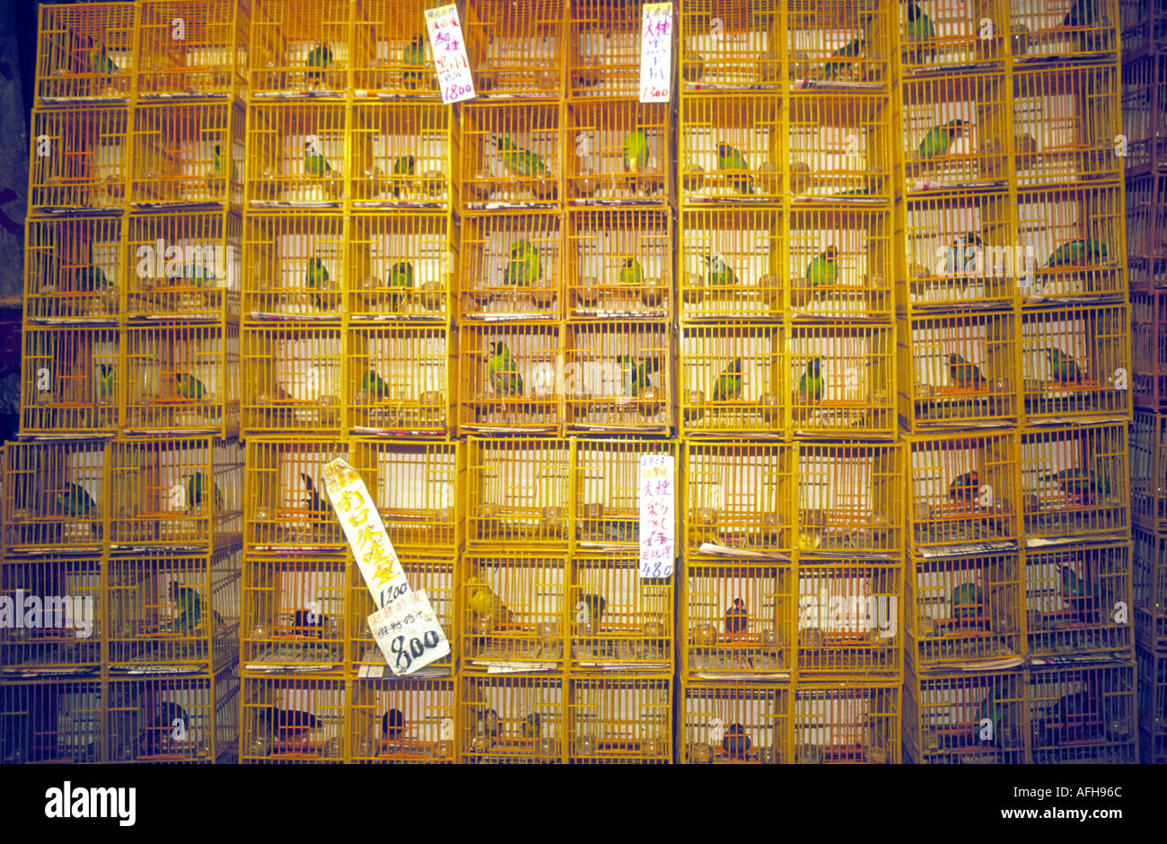 China Hong Kong Mong Kok Bird garden Yuen Po street Stock Photo - Alamy