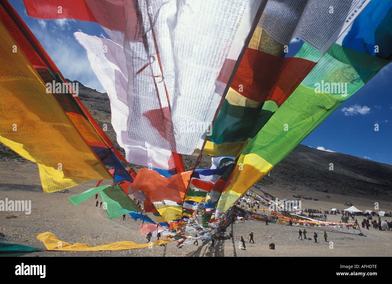 Raising of Tibetan prayer flag pole for Saga Dawa Buddha s birthday ...