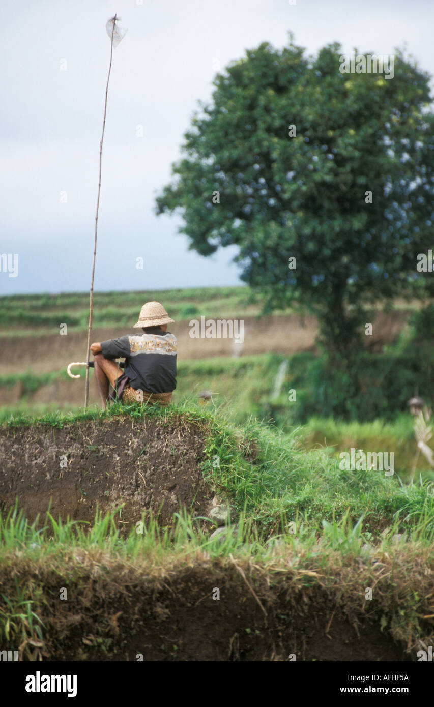 Bali Farmer Resting On Tiered Rice Paddy Indonesia Stock Photo - Alamy