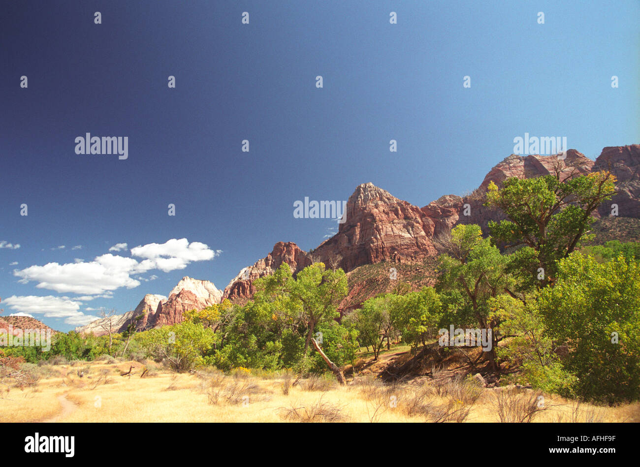 Zion NP Utah Stock Photo - Alamy