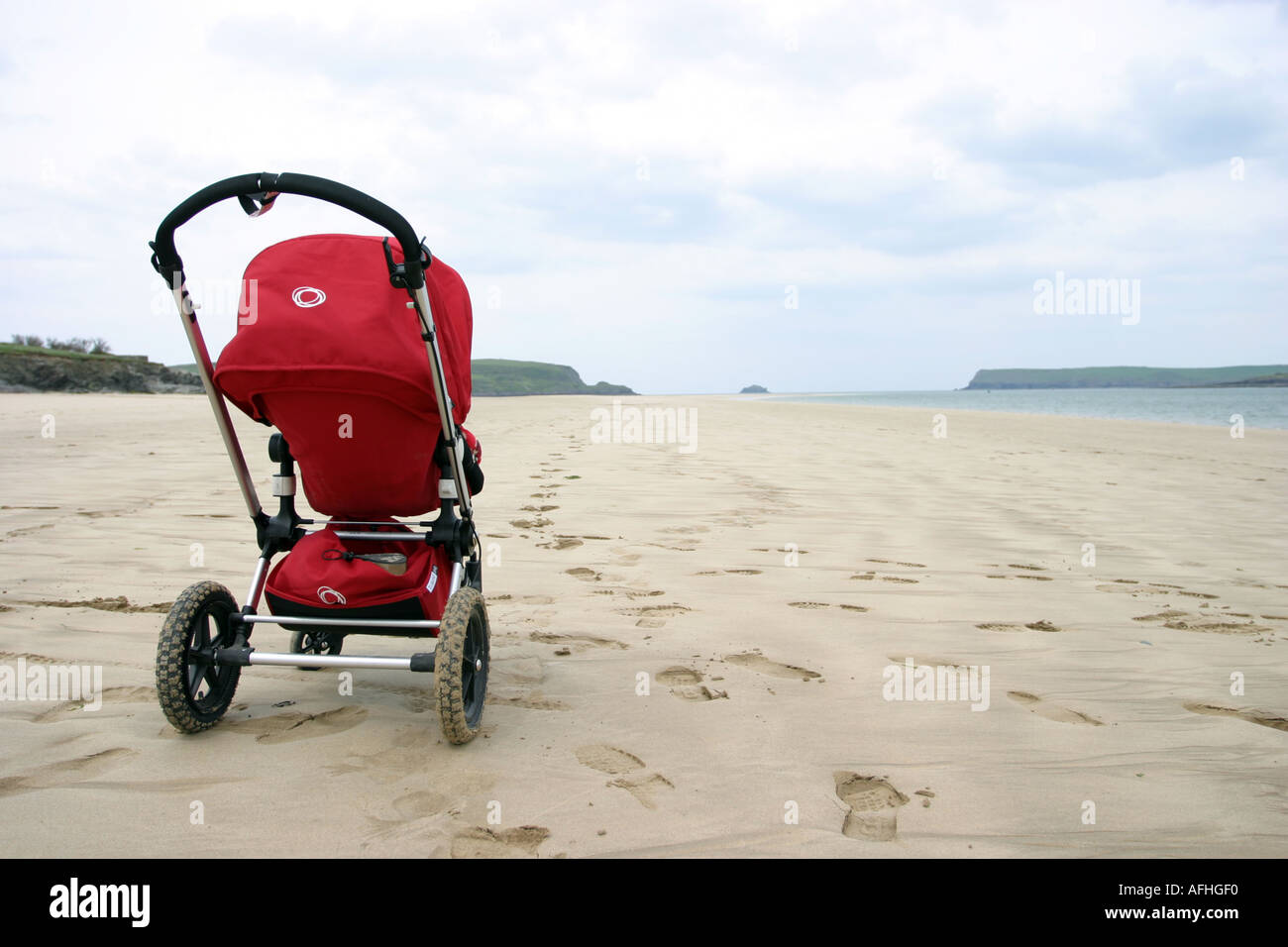 Bugaboo frog hi-res stock photography and images - Alamy