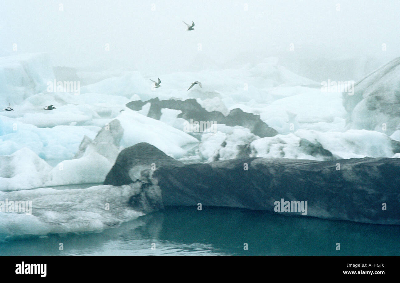 Flying over floating icebergs in hi-res stock photography and images ...