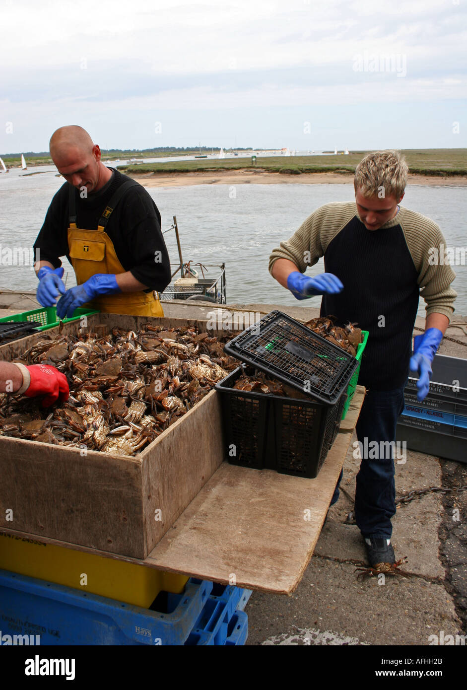 Boxing crabs hi-res stock photography and images - Alamy