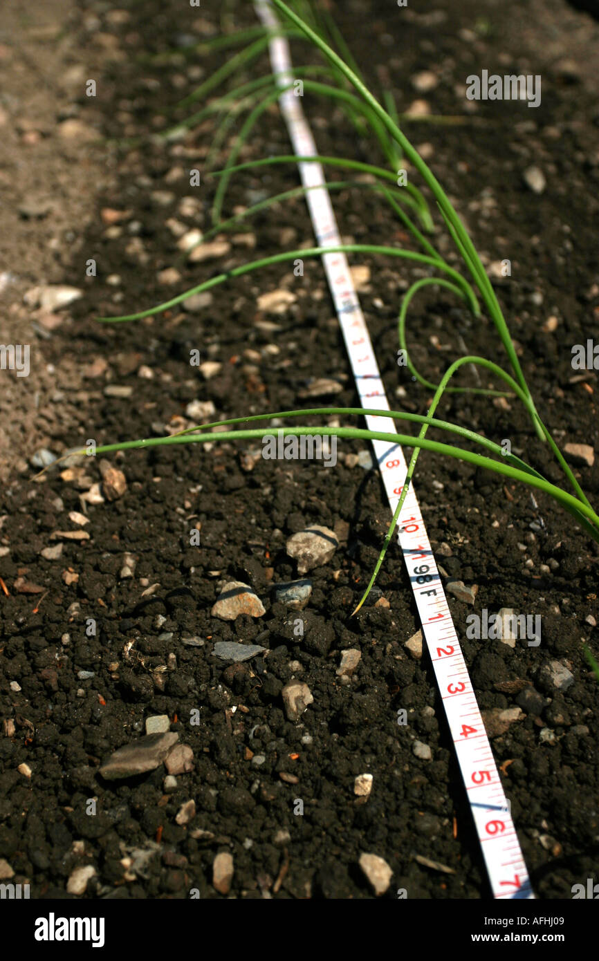 Earth tape measure hi-res stock photography and images - Alamy