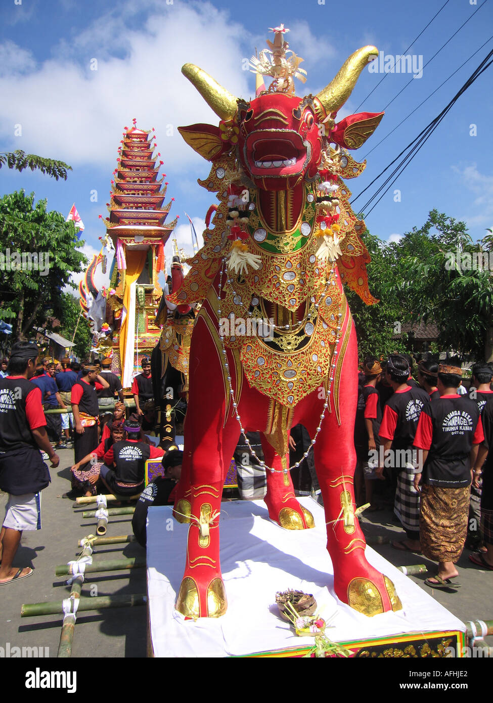 Red bull containing body of deceased awaiting cremation during festival ...