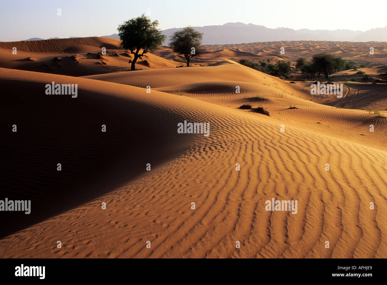 Sand dunes at Al Hayer near Dubai United Arab Emirates Stock Photo - Alamy