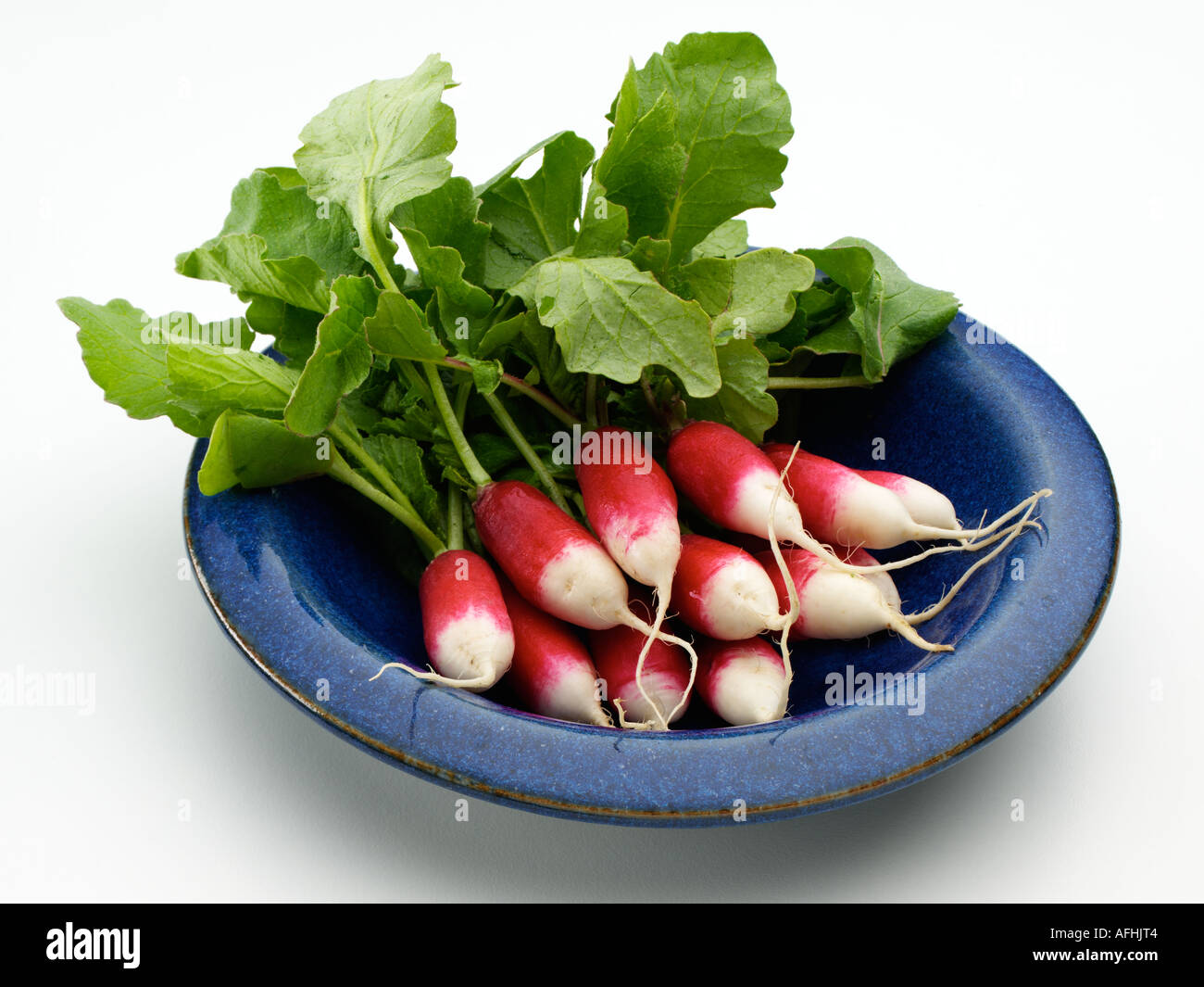 French breakfast radishes Stock Photo - Alamy