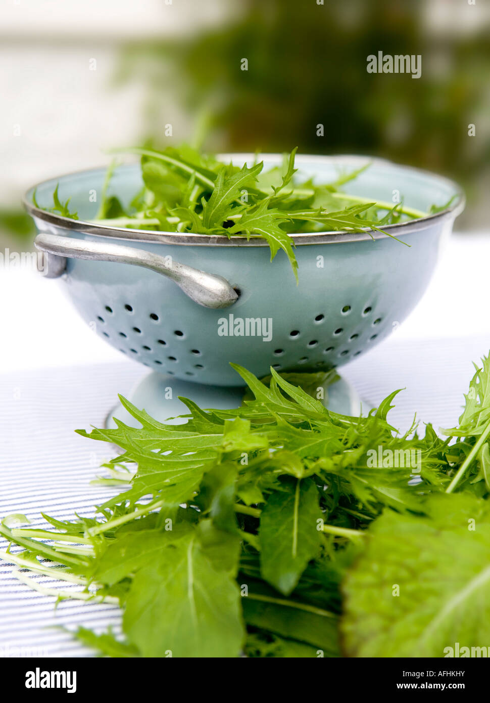 Salad leaves spicy mix hi-res stock photography and images - Alamy