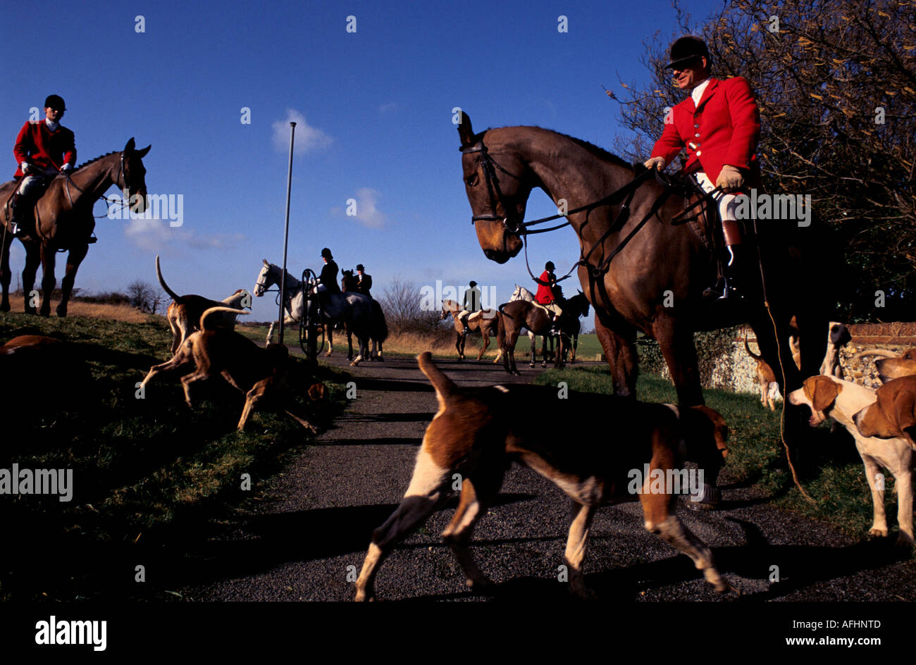 British fox hunt hi-res stock photography and images - Alamy