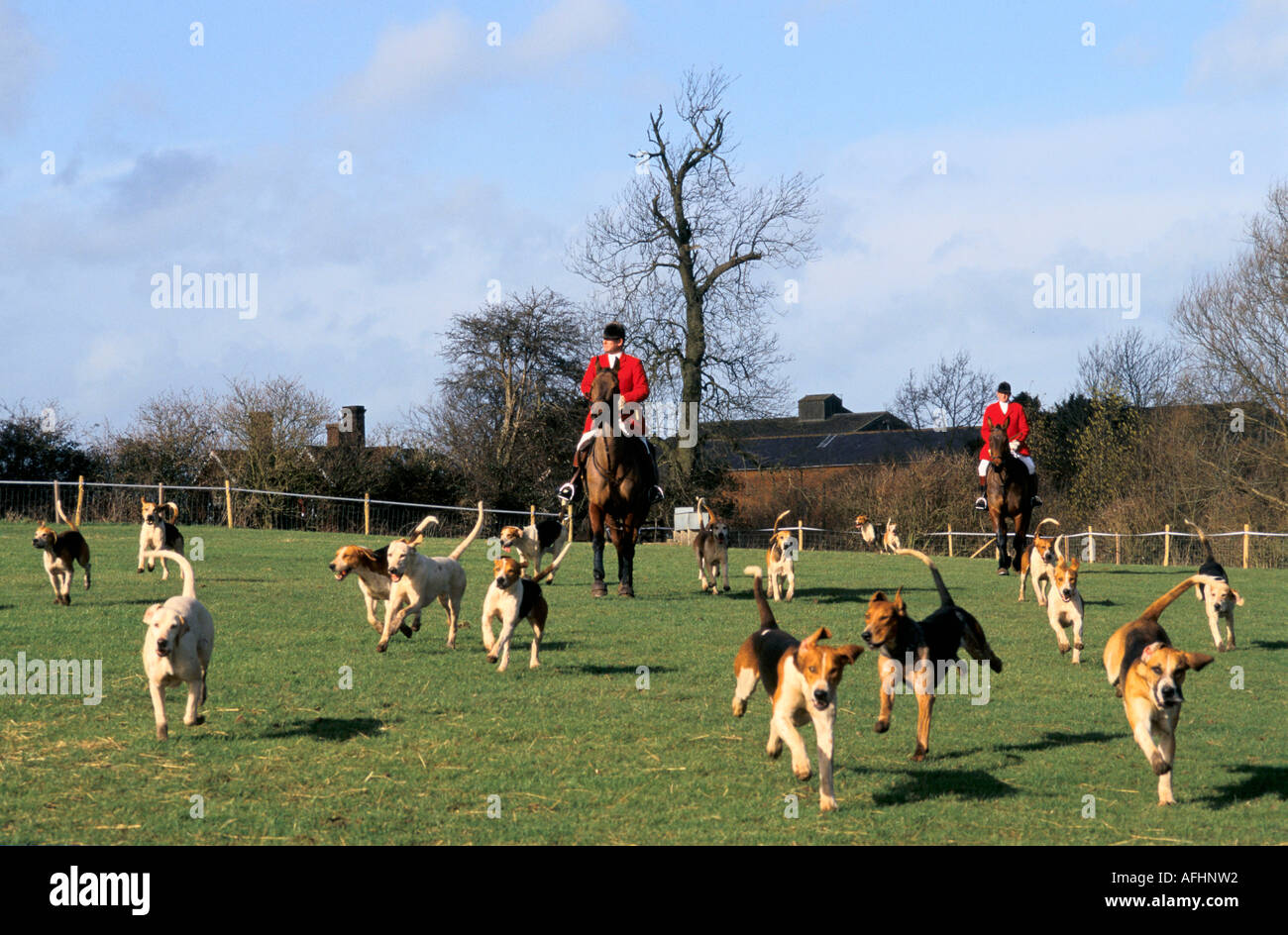 Hunt fox hunting hi-res stock photography and images - Alamy