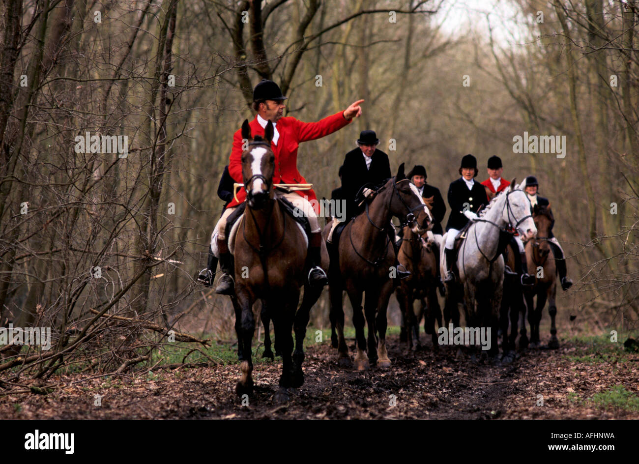English hunt on horse hi-res stock photography and images - Alamy