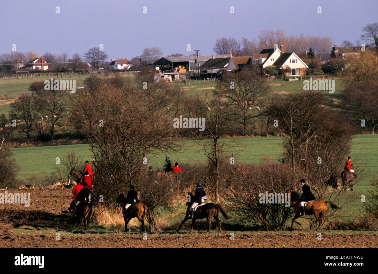 Hunt horses england hi-res stock photography and images - Alamy