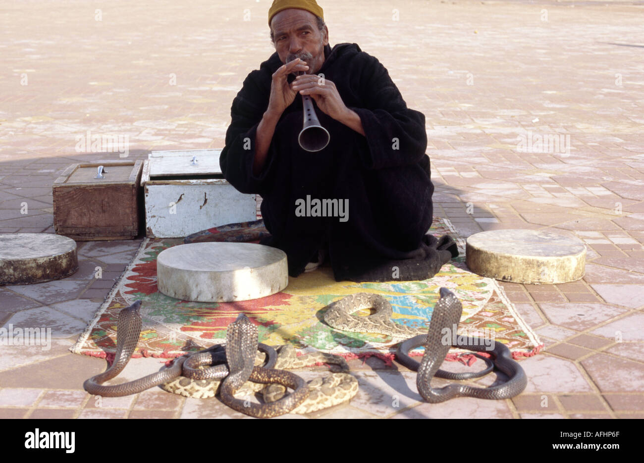 Snake charmer - Marrakesh, MOROCCO Stock Photo - Alamy