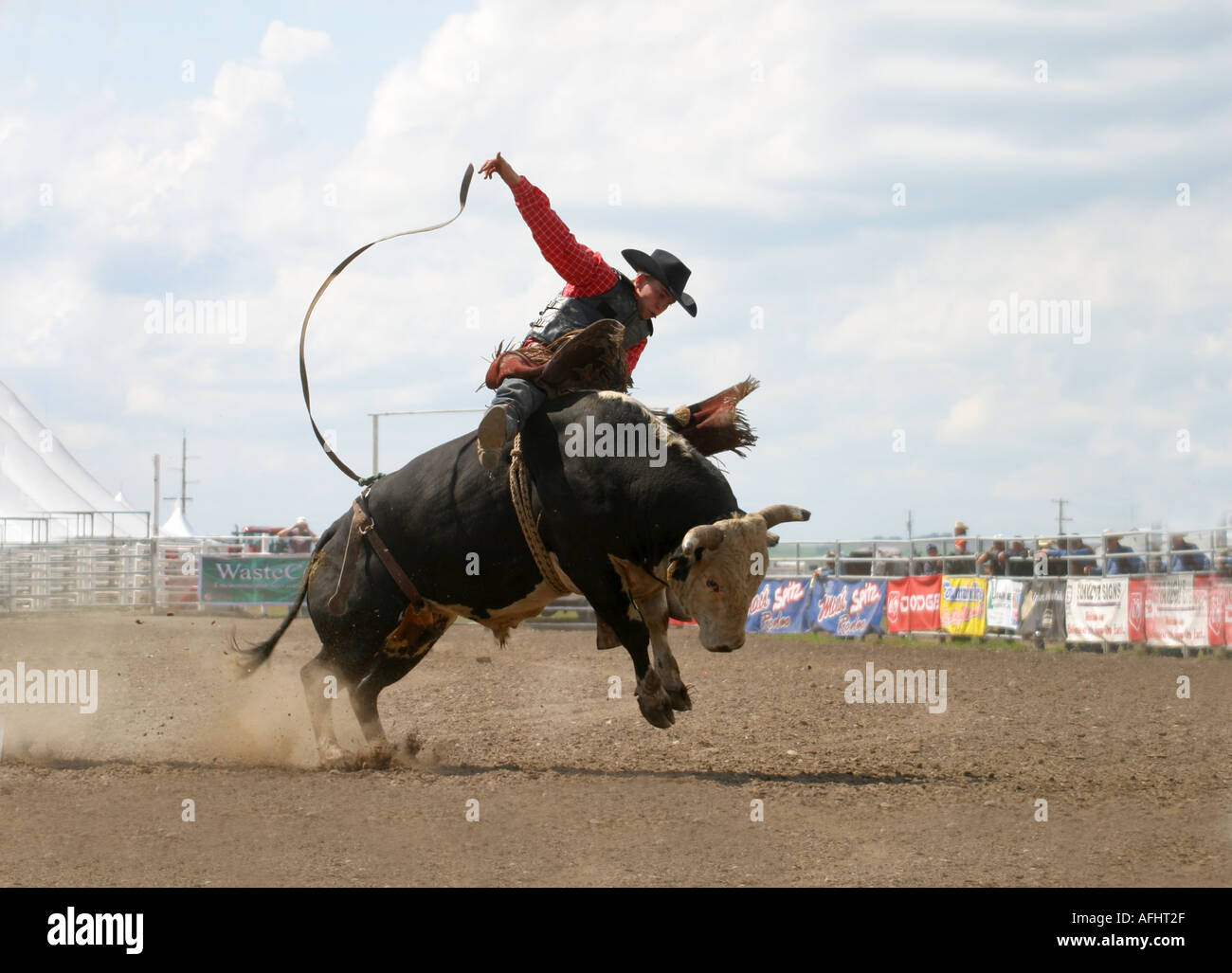 Rodeo Alberta Canada Bull Riding Cowboys pitting their skills against ...