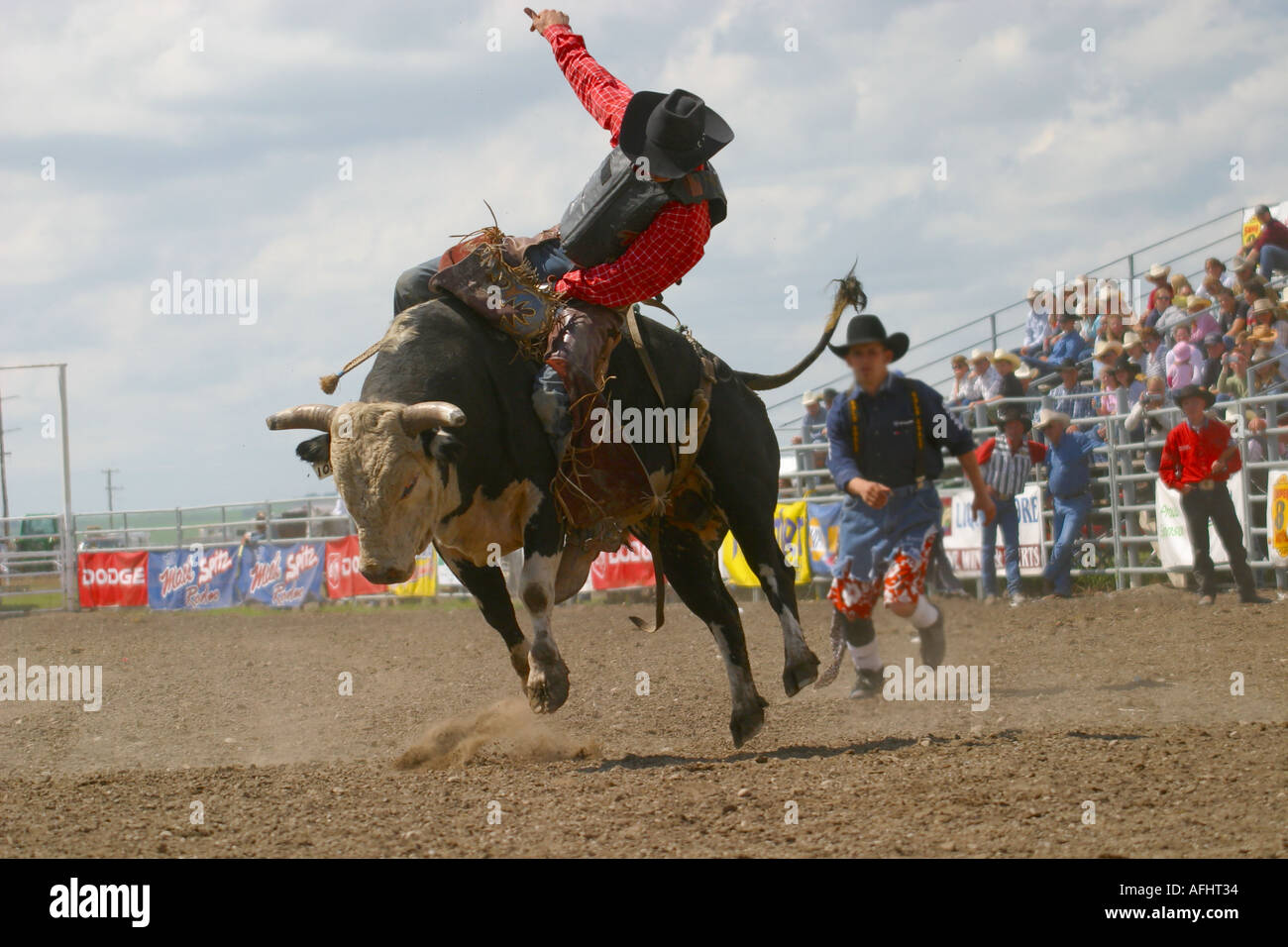 Rodeo Alberta Canada Bull Riding Cowboys pitting their skills against ...