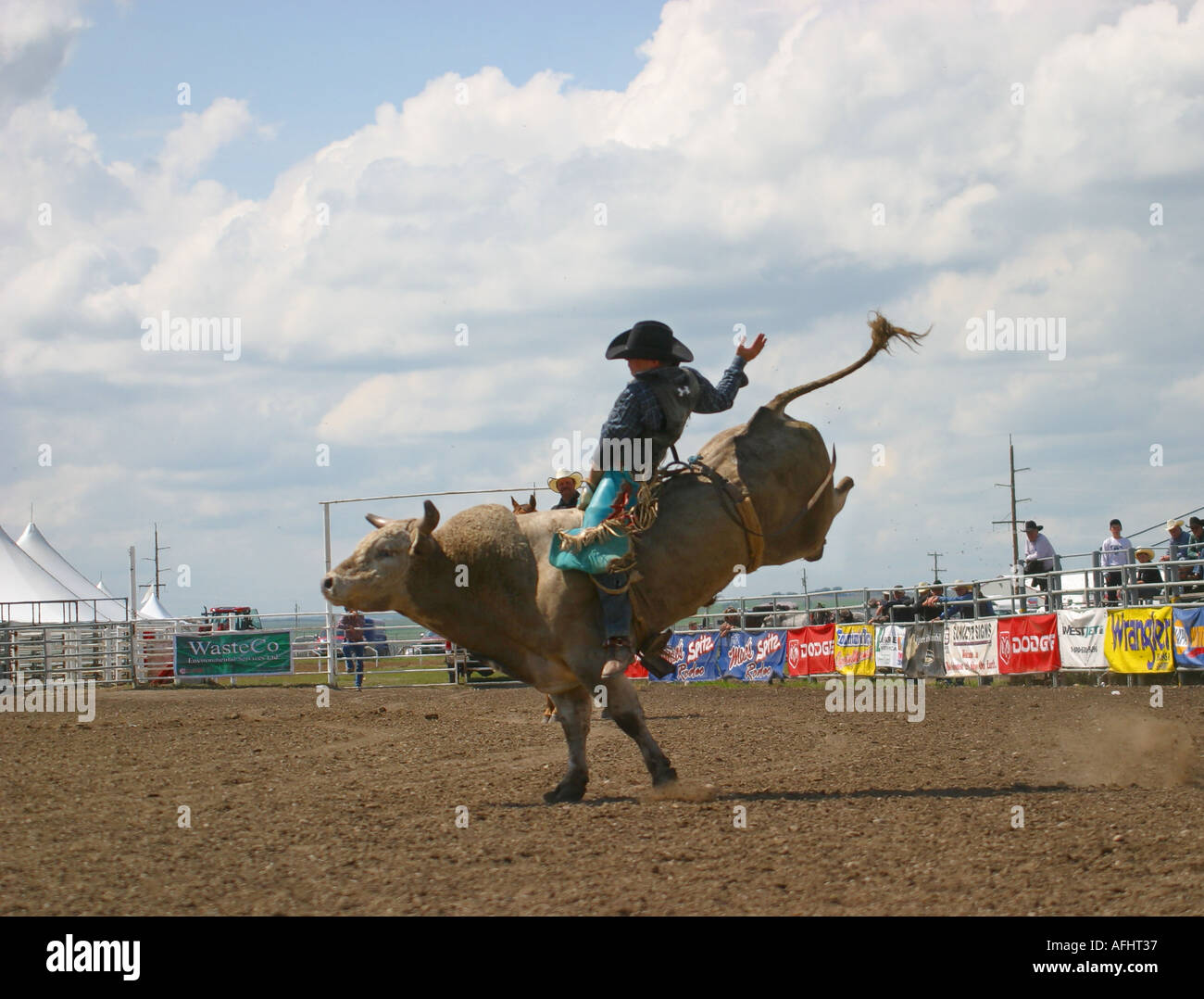 Rodeo Alberta Canada Bull Riding Cowboys pitting their skills against ...
