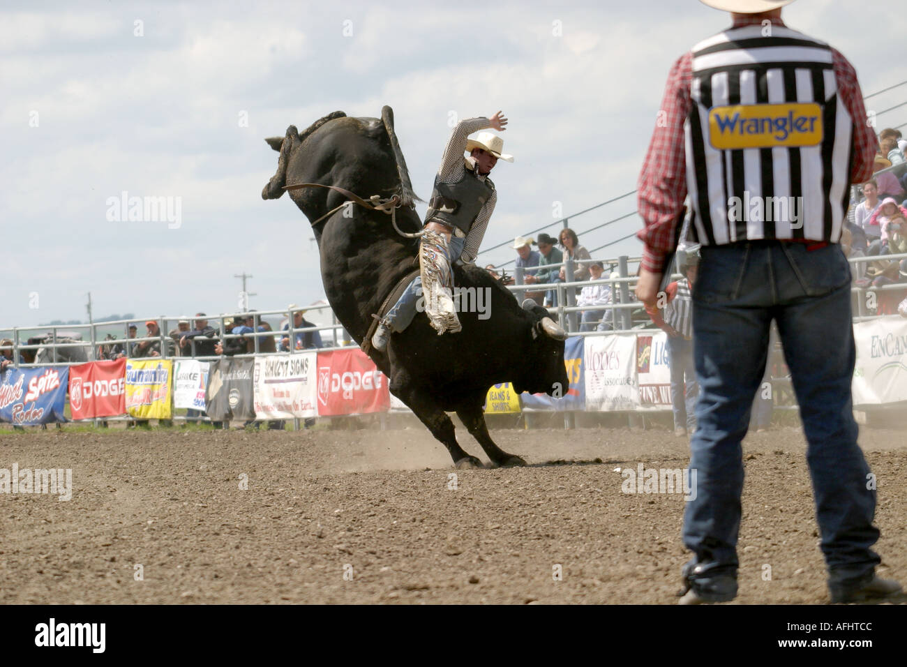 Rodeo Alberta Canada Bull Riding Cowboys pitting their skills against ...