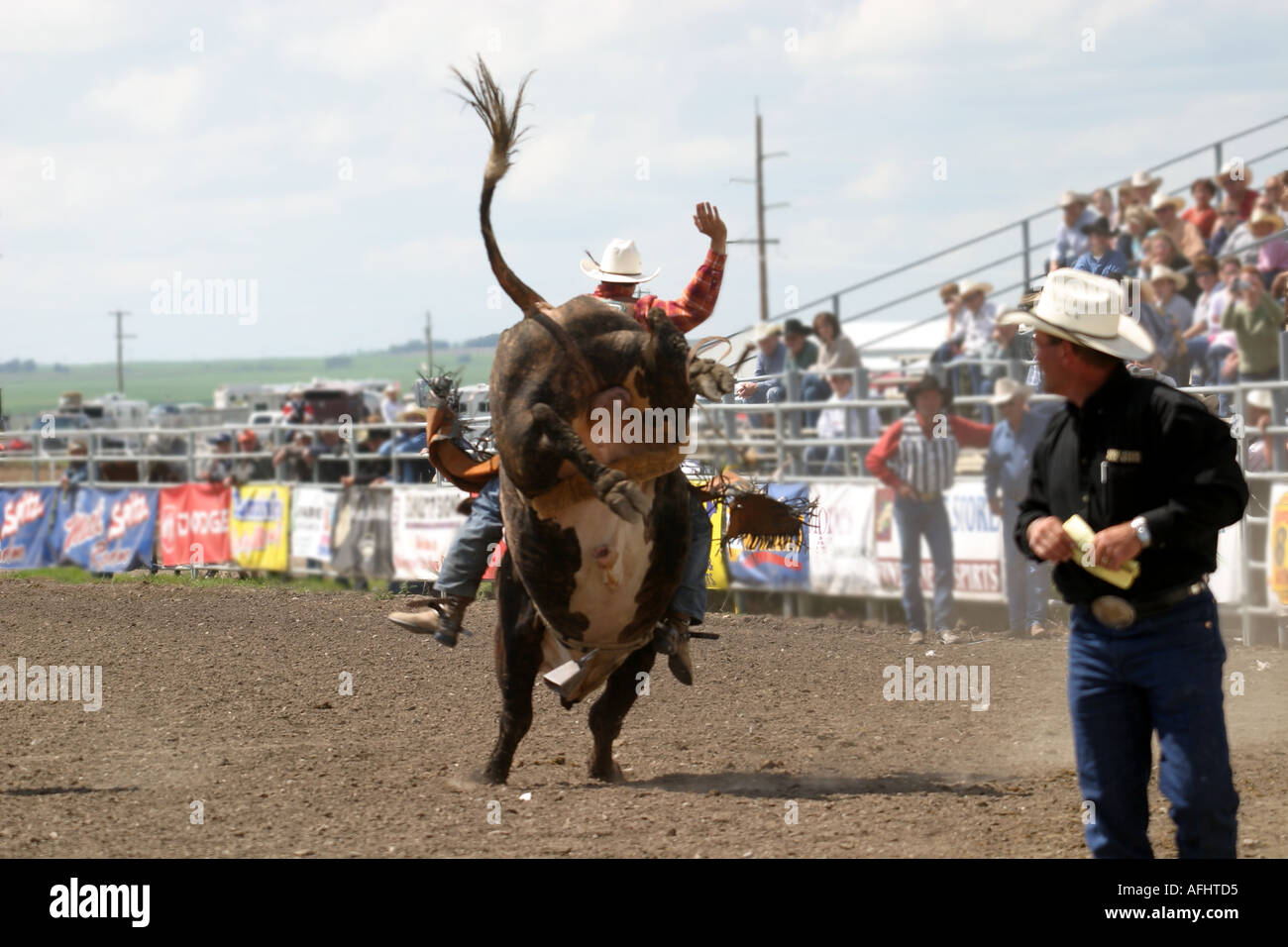 Rodeo Alberta Canada Bull Riding Cowboys pitting their skills against ...