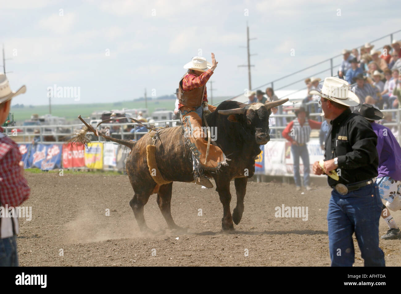 Bull riding cowboys pitting skills hi-res stock photography and images ...