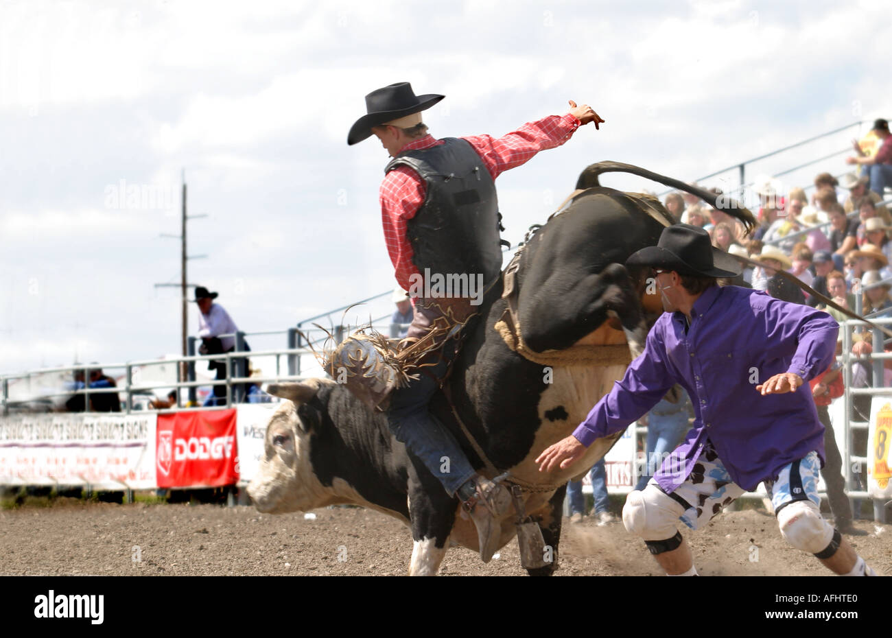 Cowboys pitting skills against rough hi-res stock photography and ...