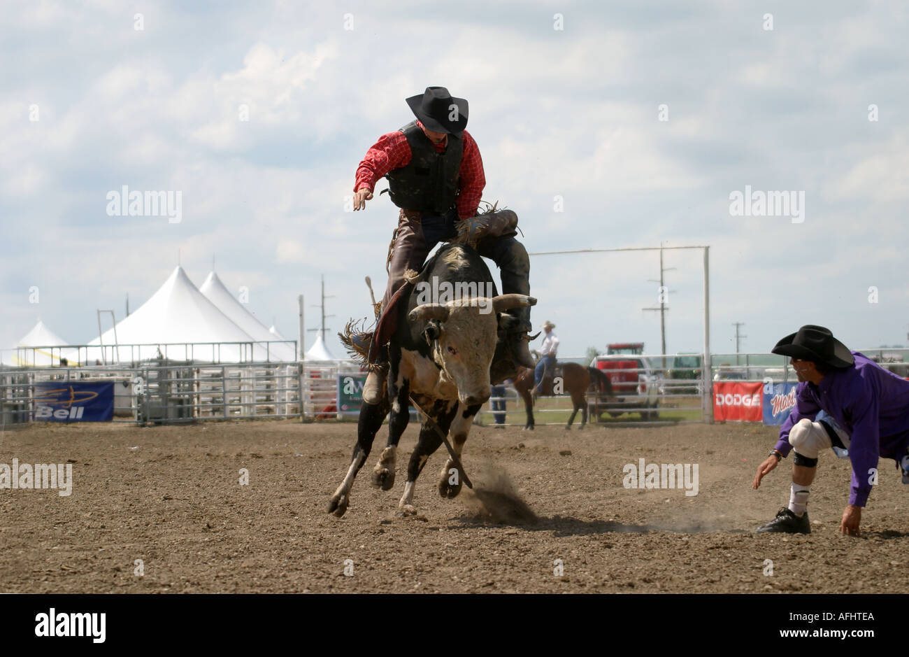 Rodeo Alberta Canada Bull Riding Cowboys pitting their skills against ...