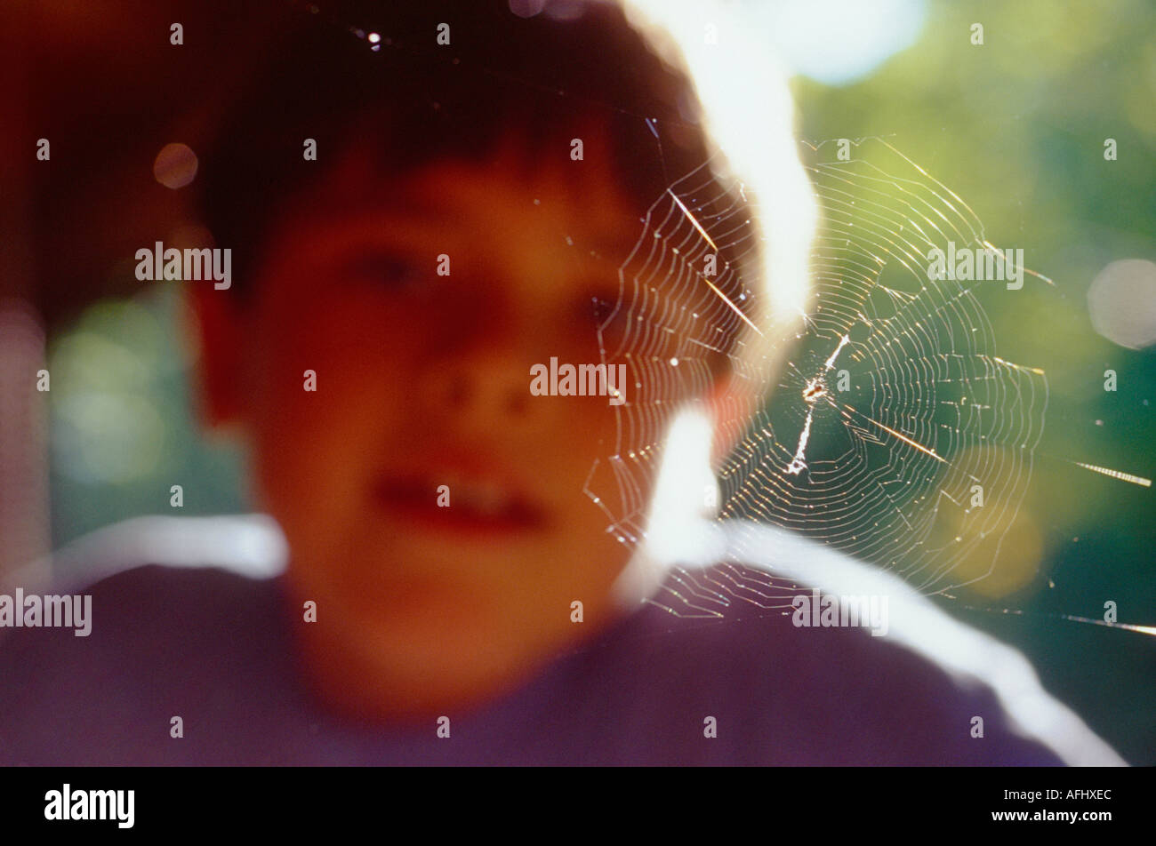 Young boy looking at bugs hi-res stock photography and images - Alamy