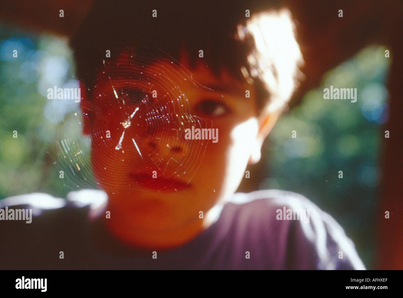 Young boy looking at bugs hi-res stock photography and images - Alamy