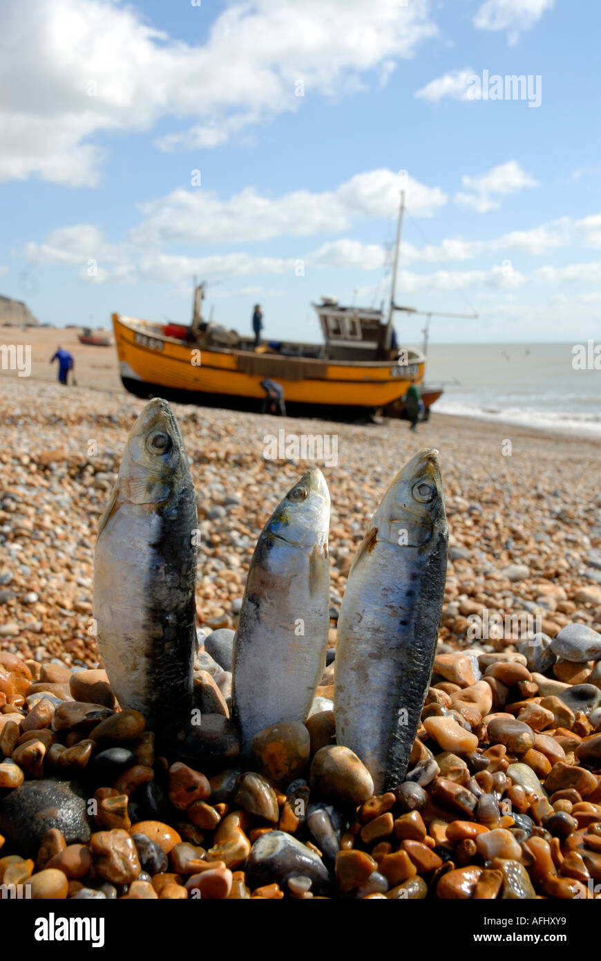 Fish and fishing boats Rock a Nore beach Hastings East Sussex England ...