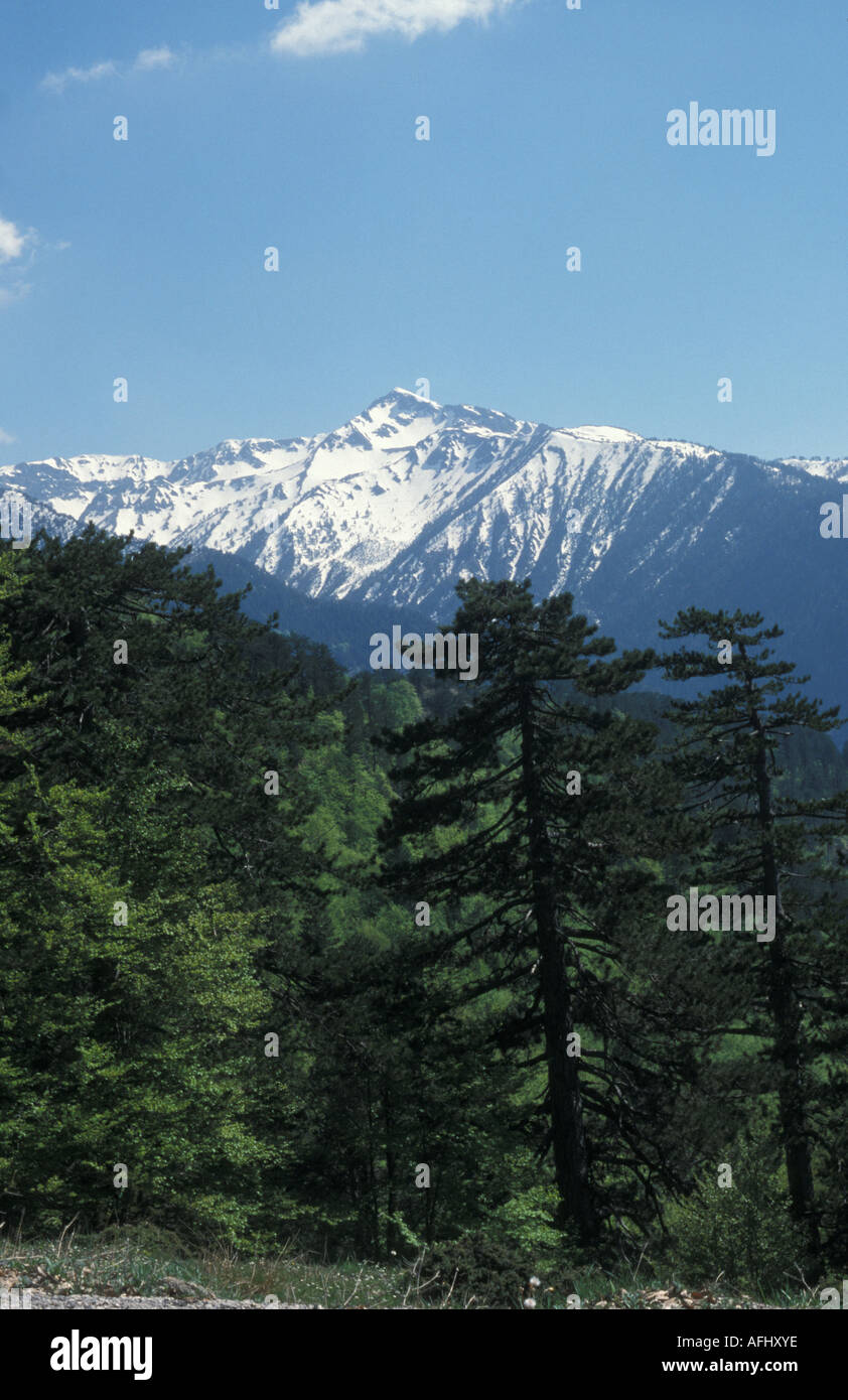 Northern pindos national park hi-res stock photography and images - Alamy