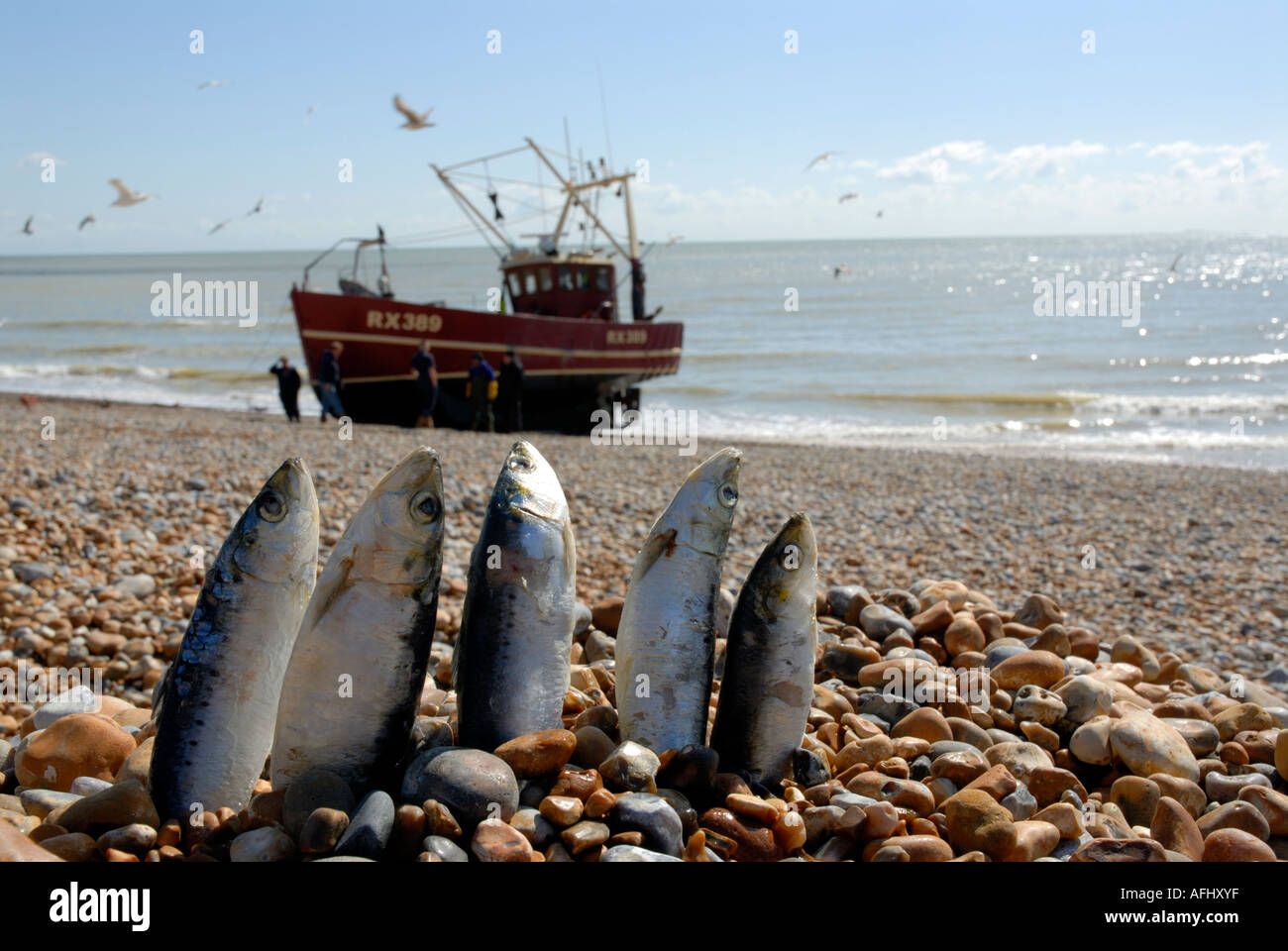 Fish and fishing boats Rock a Nore beach Hastings East Sussex England ...