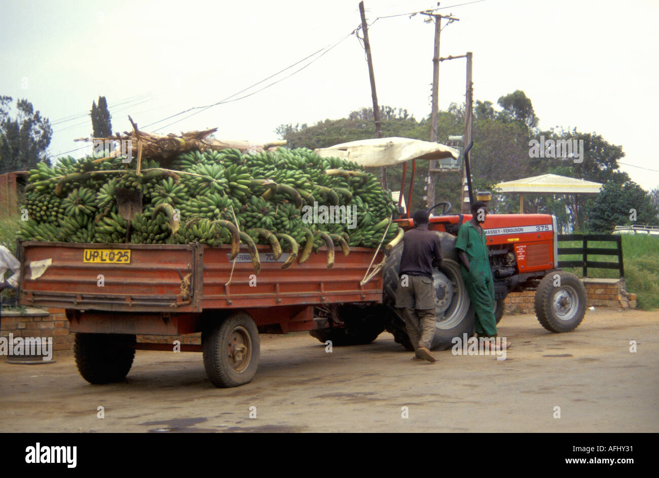 Tractor and trailer loaded with bananas South west Uganda Africa Stock ...