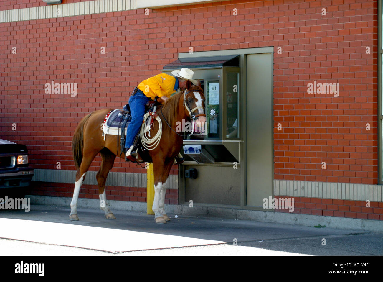 COFFEE TIME; HORSE AND RIDER STOP BY A COFFEE SHOP DRIVE THROUGH Stock ...