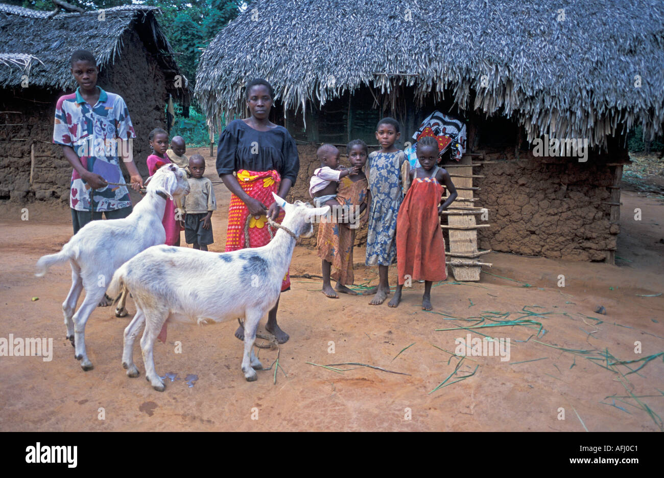 AFRICA KENYA DIGO Kenyan family with their Heifer Project International ...