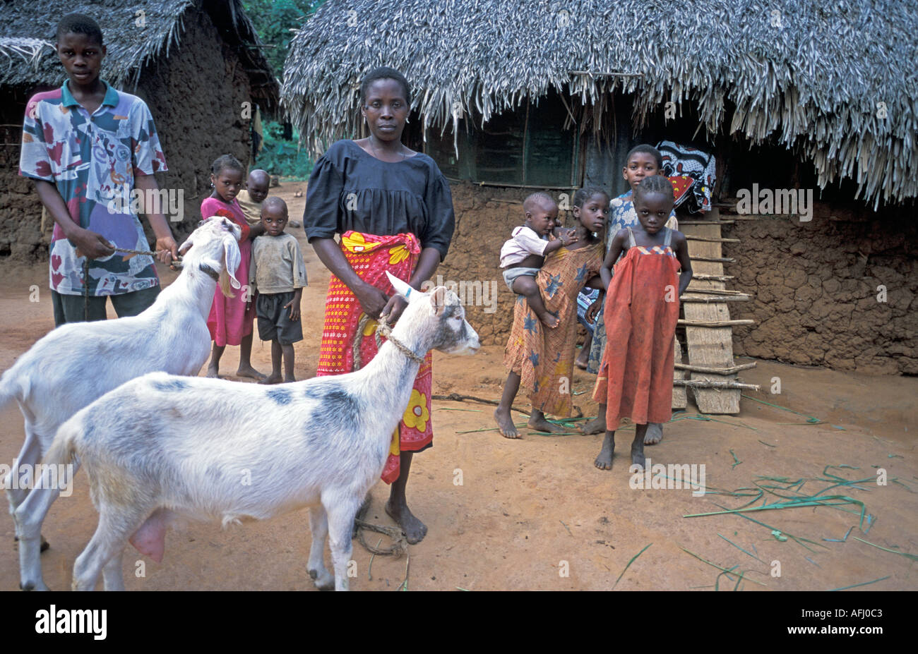 AFRICA KENYA DIGO Kenyan family with their Heifer Project International ...
